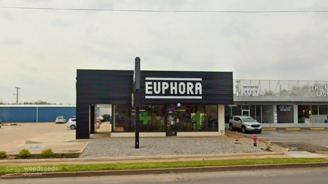 Buy Cannabis Seeds From Our USA Seed Bank In 2024 - WSE USA